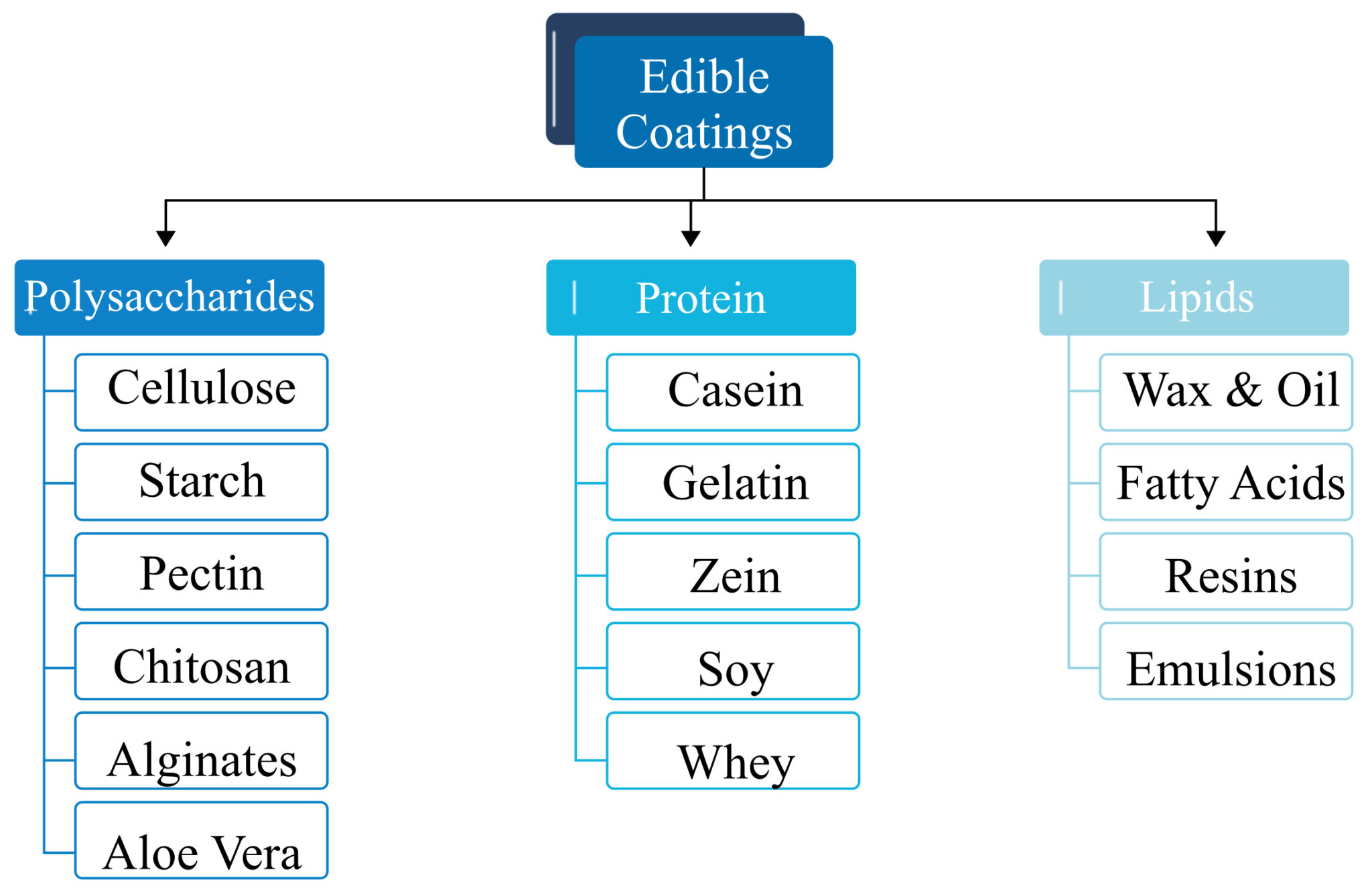 Sustainable Edible Food Casings: Innovations & Challenges