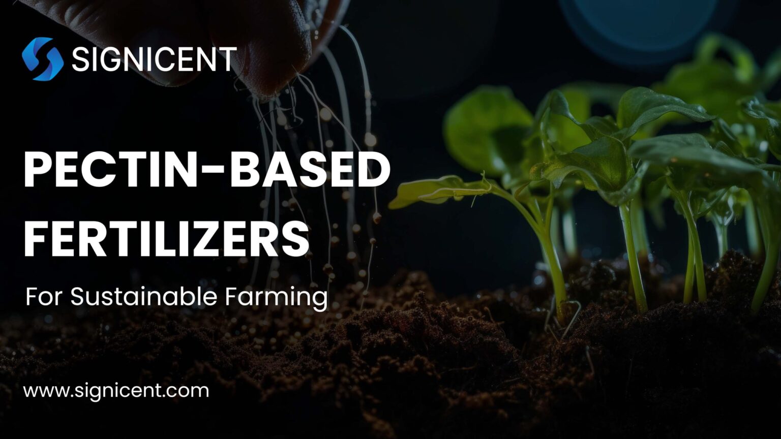 Pectin-Based Fertilizers for Sustainable Farming
