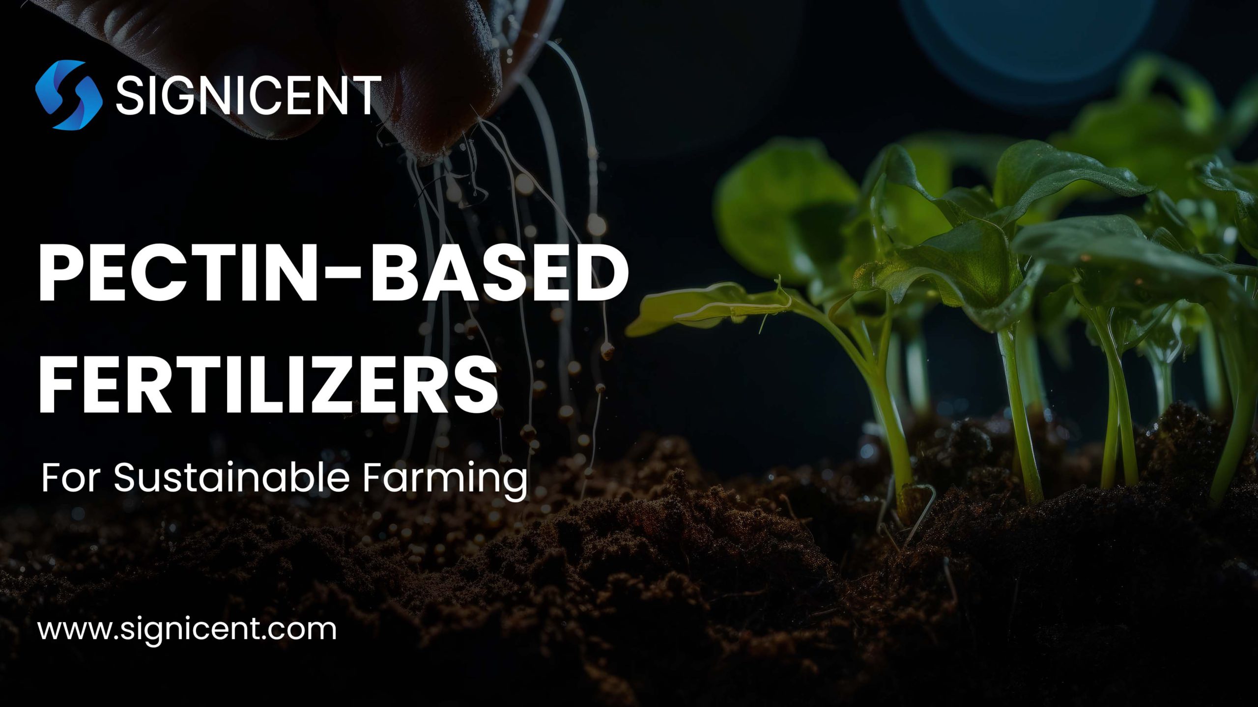 Pectin-Based Fertilizers for Sustainable Farming